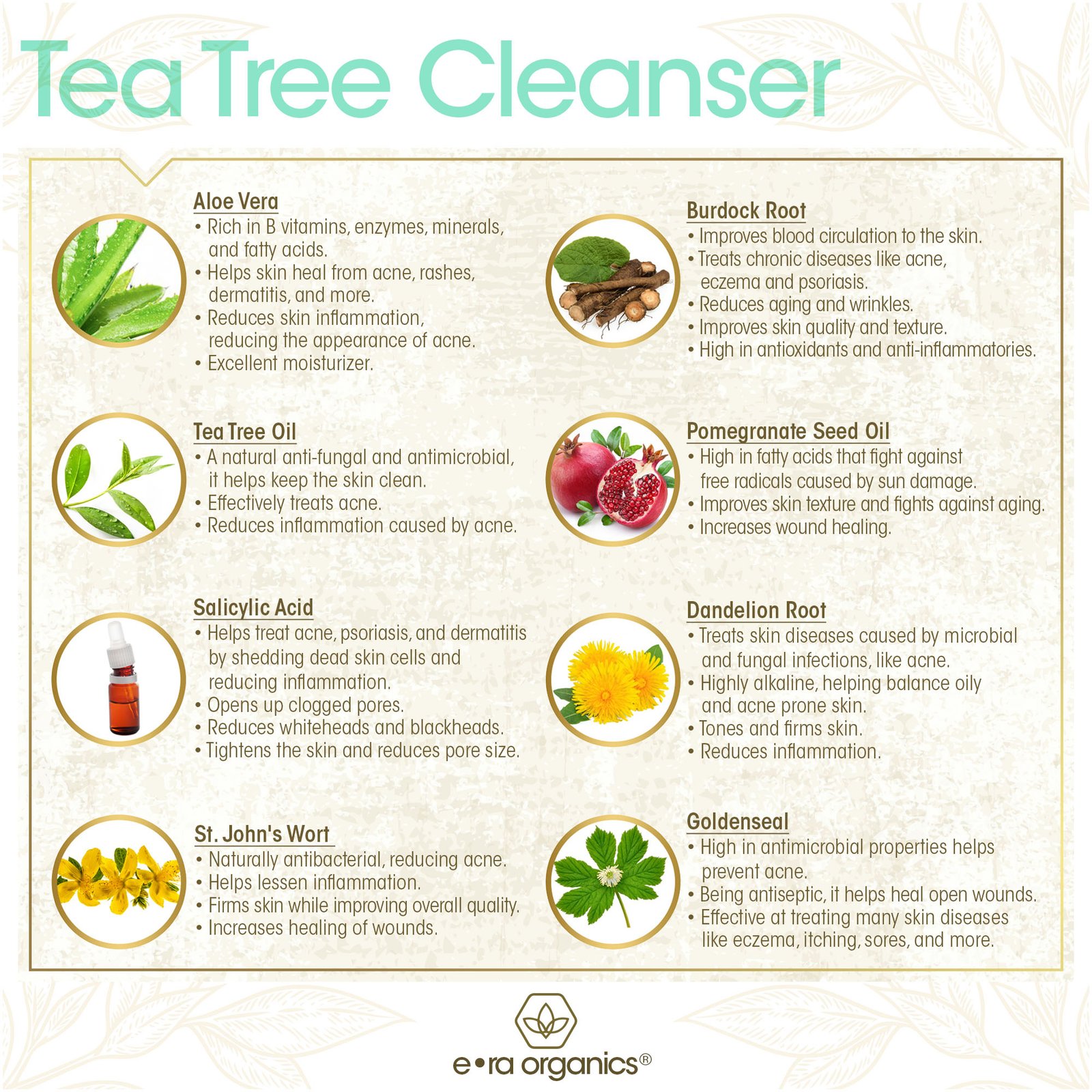 Why You Should Try Tea Tree Oil for Acne Prone Skin - Cheap and Cheeky